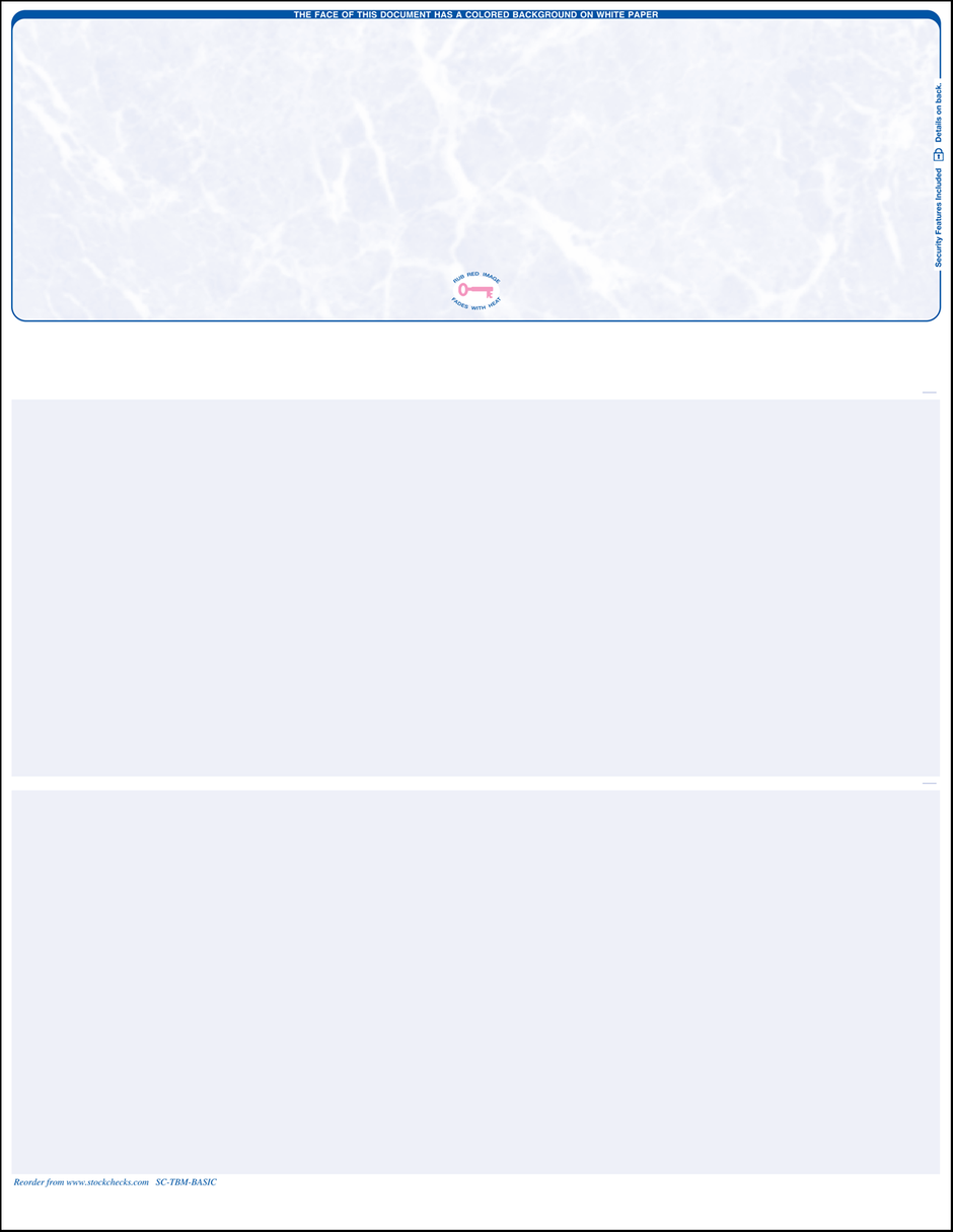 Blank Payroll Checks – StockChecks, Inc.